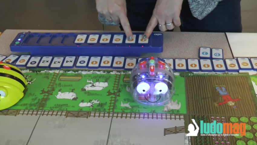 Au défi de la programmation en maternelle et en primaire avec Bee-Bot ...